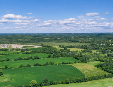 Nik Handa Real Estate Group | Home